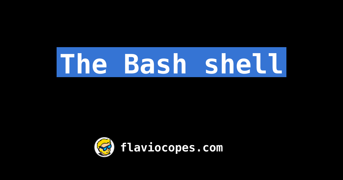 The Bash shell