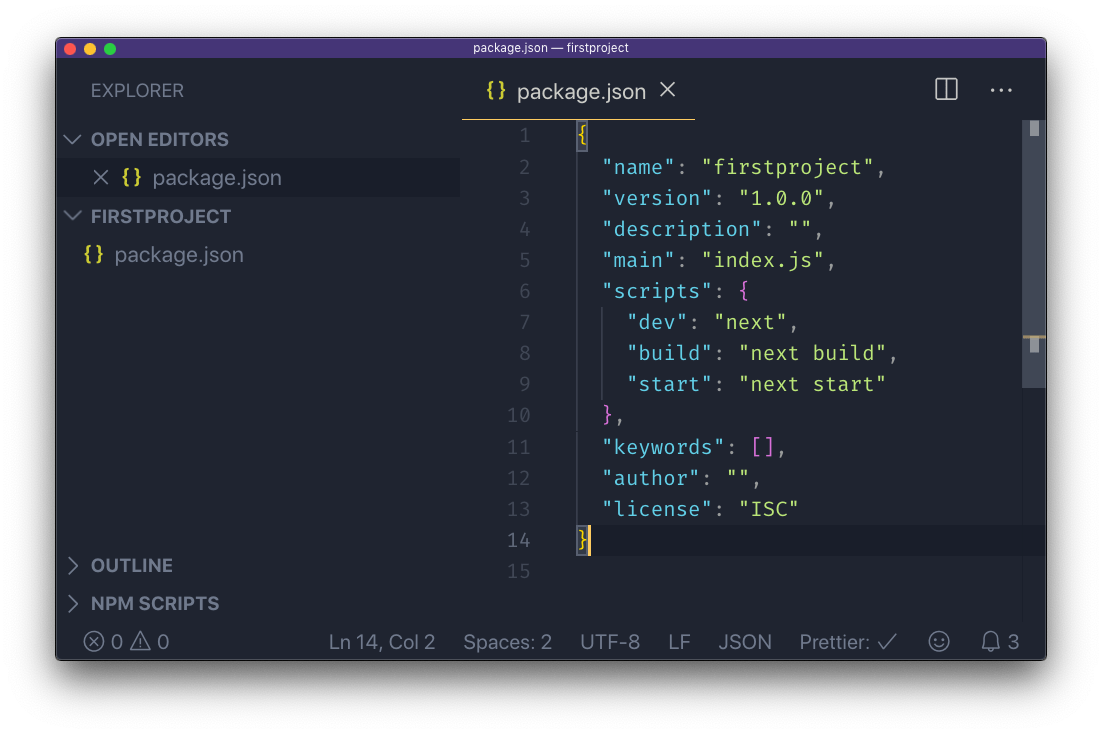How To Install Next js